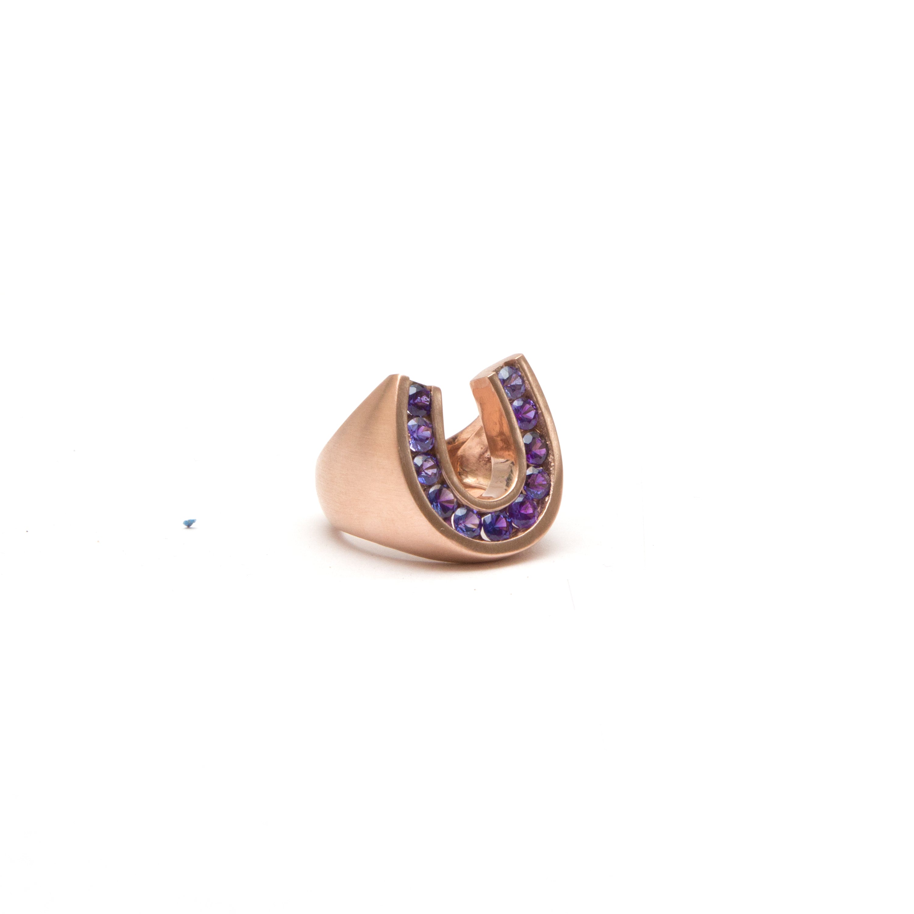 "HORSESHOE" ring – Huckleberry Ltd
